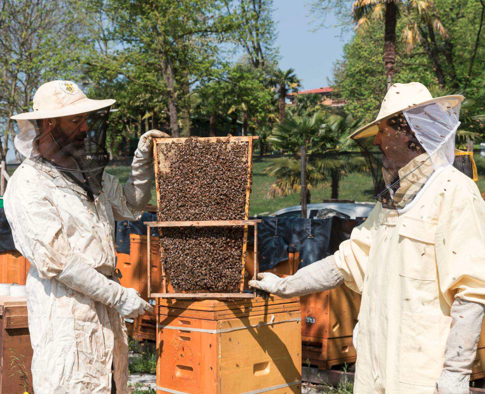 Modern Beekeeping