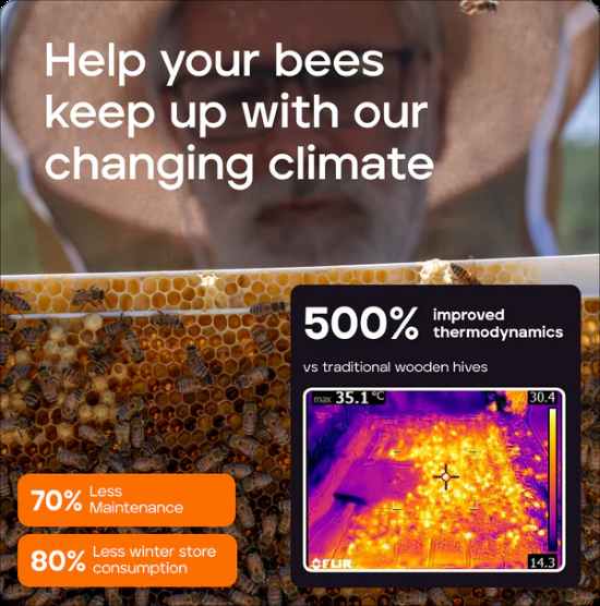 Primal Bee Hive Starter Kit