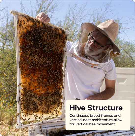 Primal Bee Hive Starter Kit